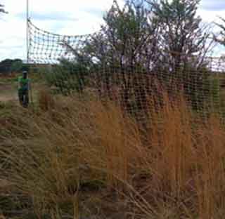 Products | South Safety Net