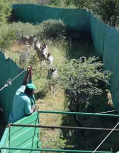 Products | South Safety Net