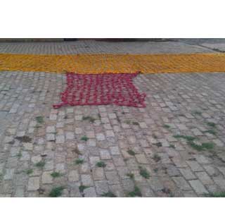 Products | South Safety Net