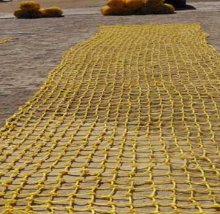 Products | South Safety Net